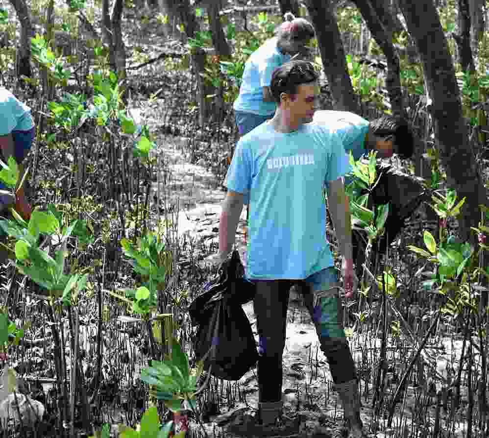 Soil Pollution - Welcome to Gaiaekole
